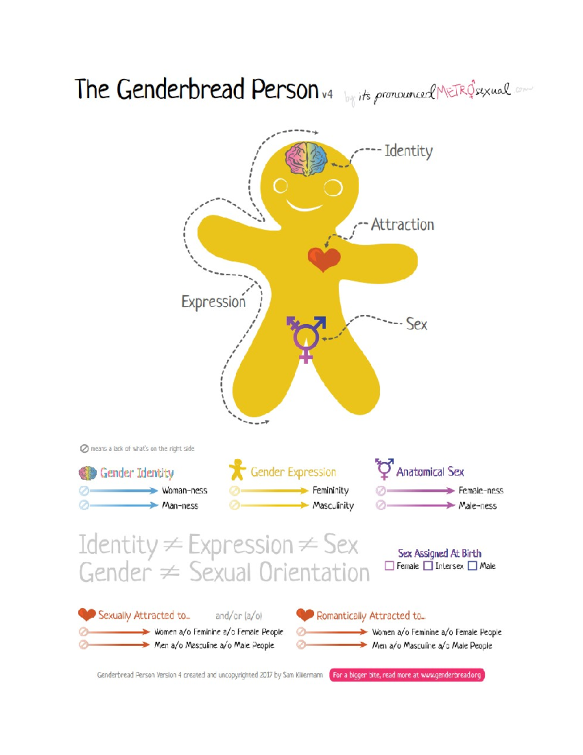 Gender Bread Person - ....... - Nursing - Studocu