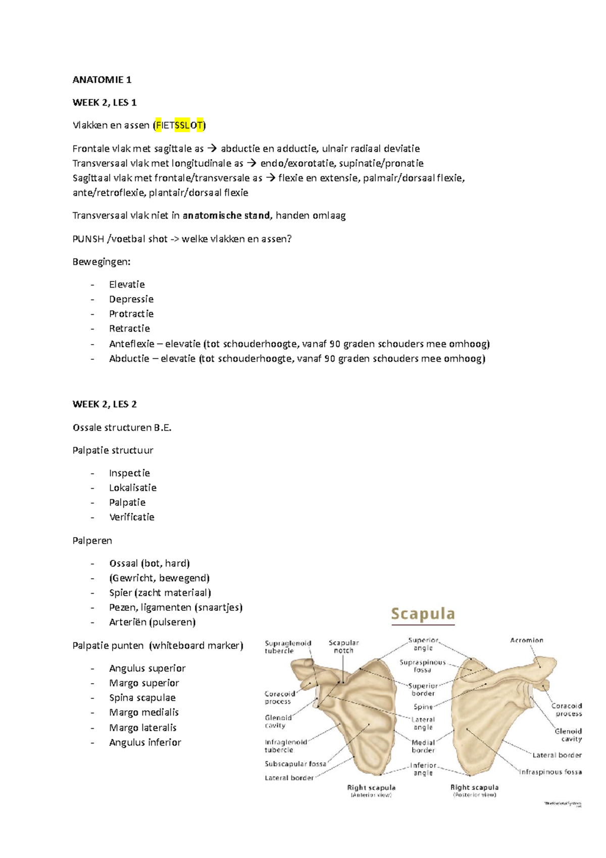 Anatomie 1 aantekeningen - ANATOMIE 1 WEEK 2, LES 1 Vlakken en assen ...