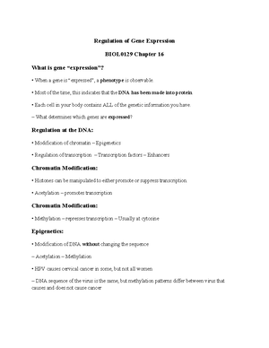 Bio Notes - DNA - DNA Structure and Function Bio THE MOLECULAR ...
