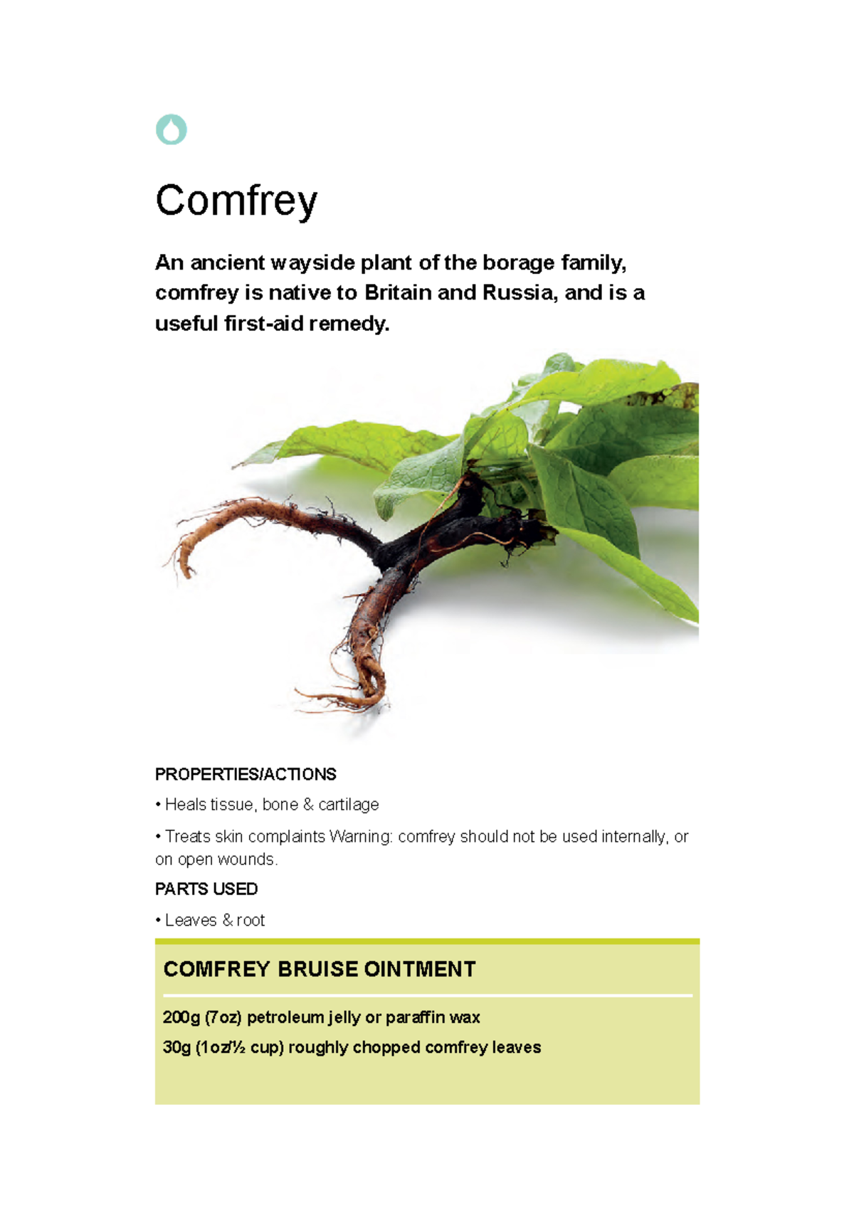 Natures Pharmacy-32 - Comfrey An ancient wayside plant of the borage ...