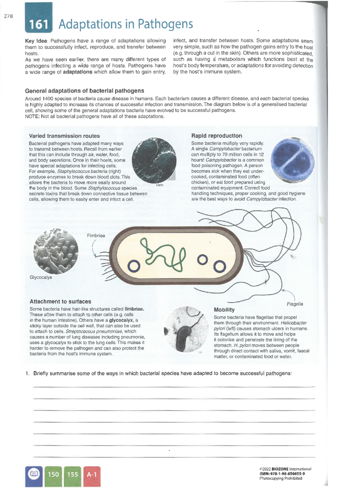 Biozone 161 - Adaptations in Pathogens - 278 161 Adaptations in ...