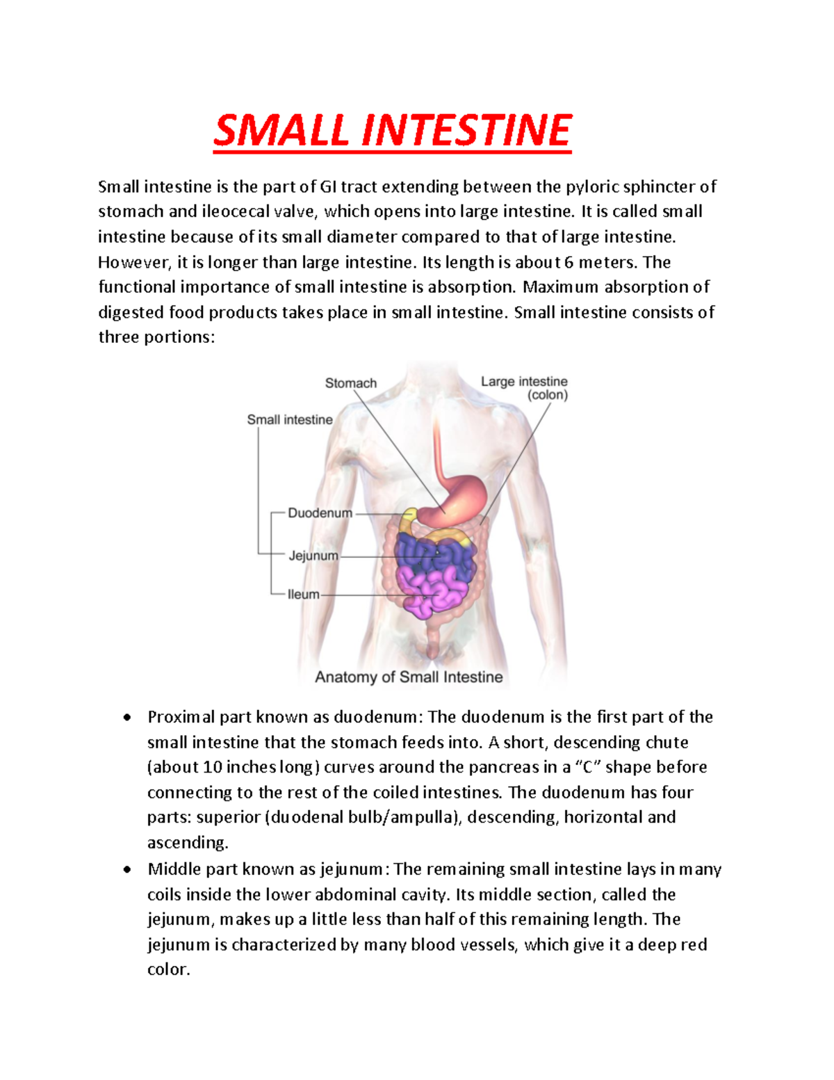 Small Intestine - SMALL INTESTINE Small intestine is the part of GI ...