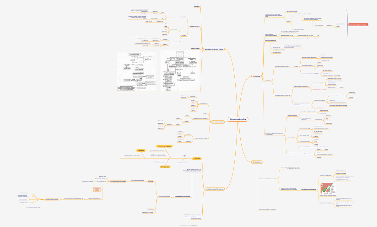 MAPA GT1 M22 - Síndrome Ictérica - Síndrome Ictérica Icterícia ...