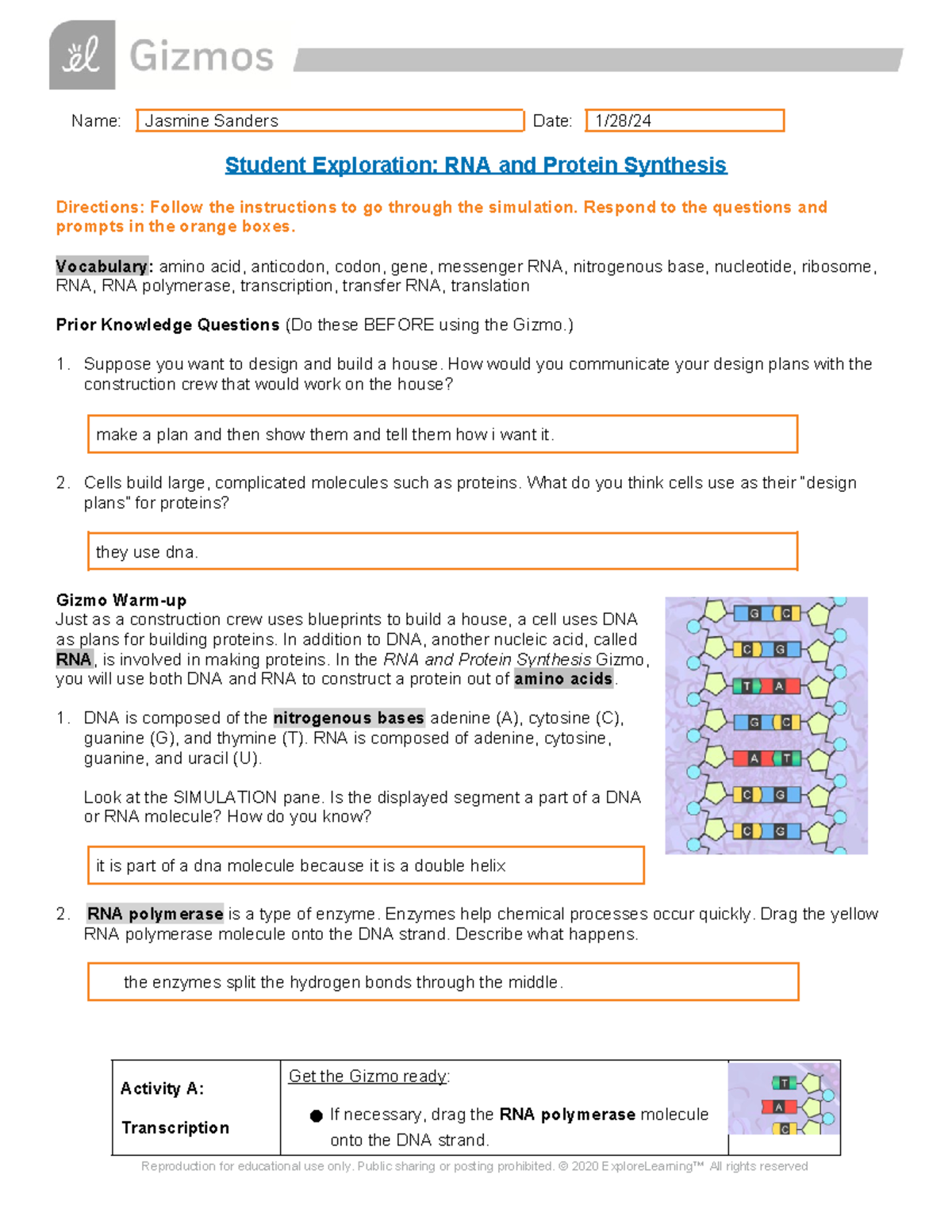 Jasmine Sanders - Gizmo Protein Synthesis and RNA - 7753622 - Name ...