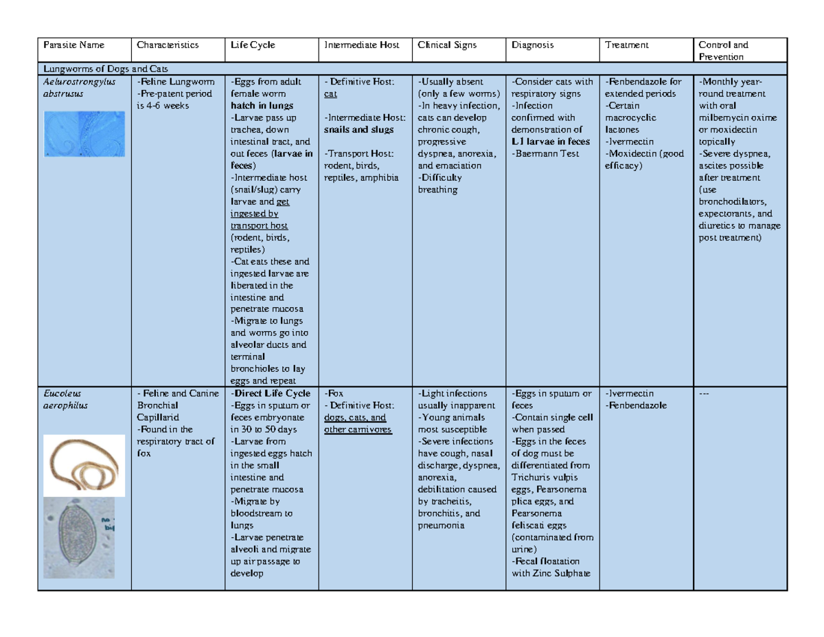 Small Animal Nematodes - Parasite Name Characteristics Life Cycle ...