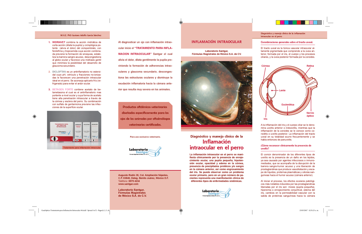 Tratamiento Inflamacion Intraocular - M.V. PhD Gustavo Adolfo García ...