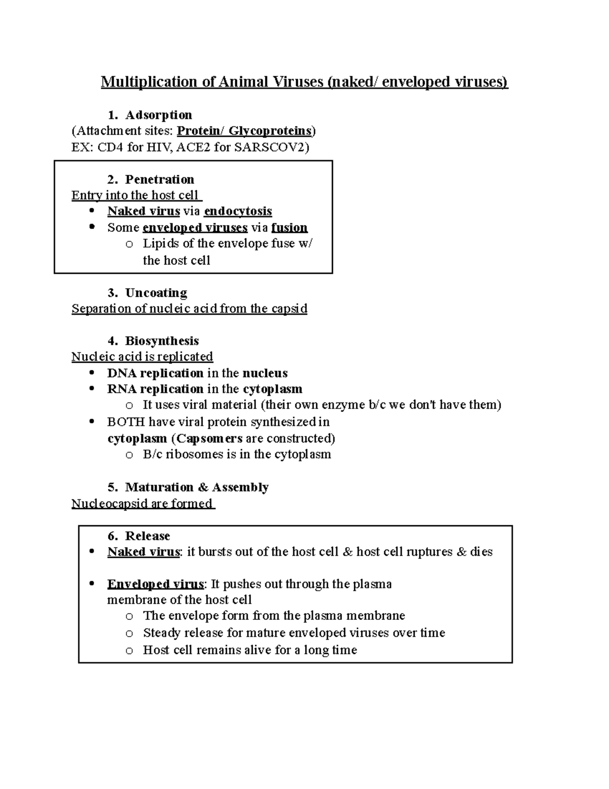 Multiplication of Animal Viruses - Studocu