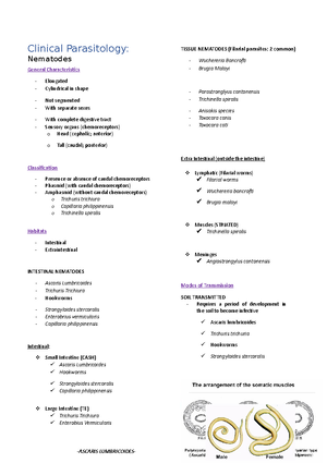 Introduction to Parasitology - INTRODUCTION TO PARASITOLOGY - Is the ...