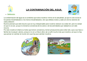 Informe sobre NIA 300 y NIA 315 - Informe sobre NIA 300 y NIA 315 Integrante: Del Castillo - Studocu