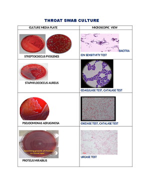 Urine Culture - Microbiology imp - URINE CULTURE CULTURE MEDIA (CLED ...