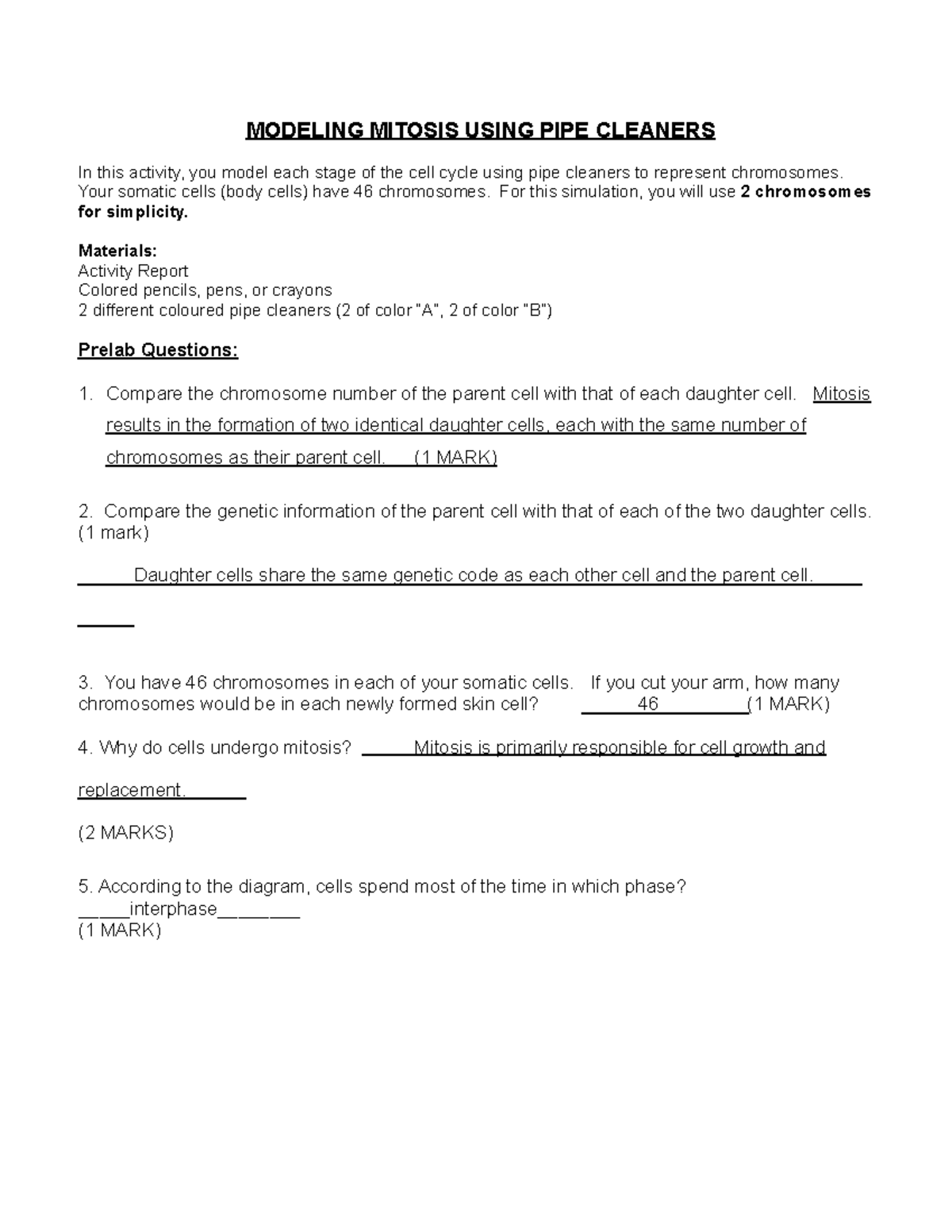 Copy of Copy of Activity-Modeling Mitosis using Pipe Cleaners ...