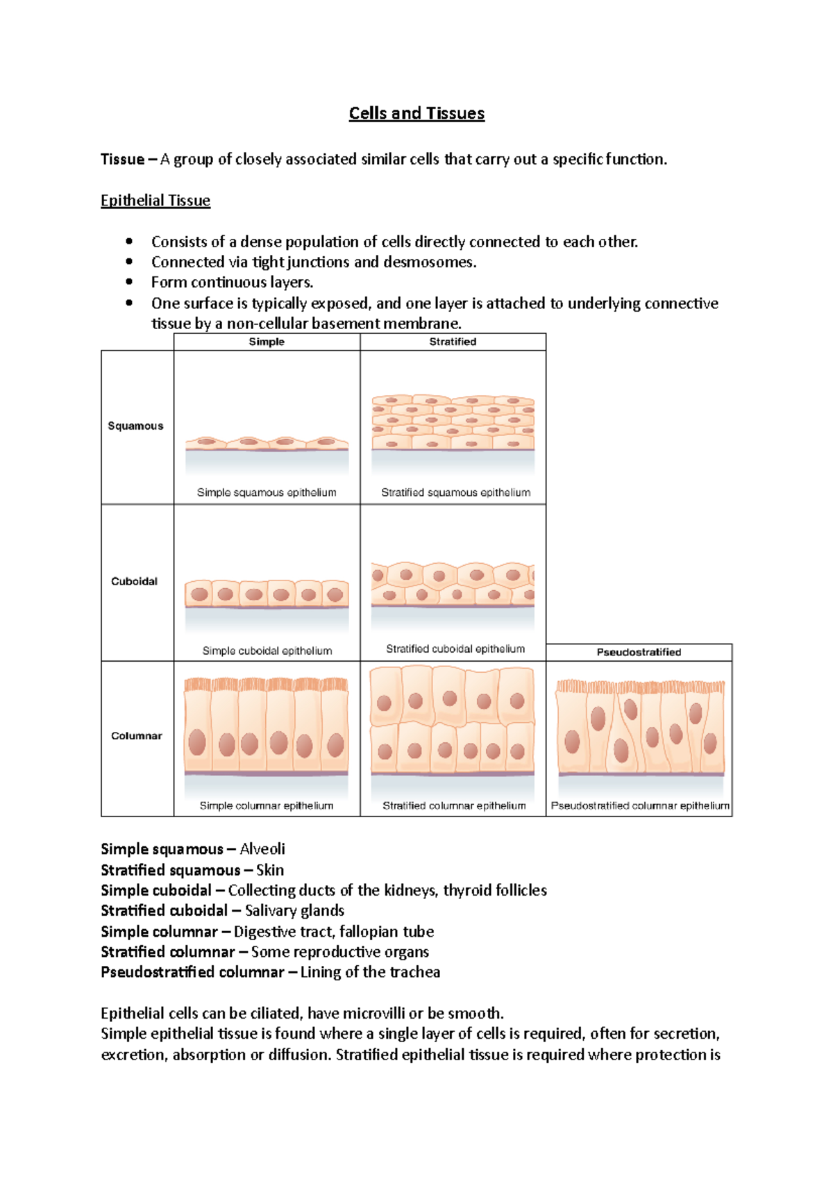 Cells and Tissues - Cells and Tissues Tissue – A group of closely ...
