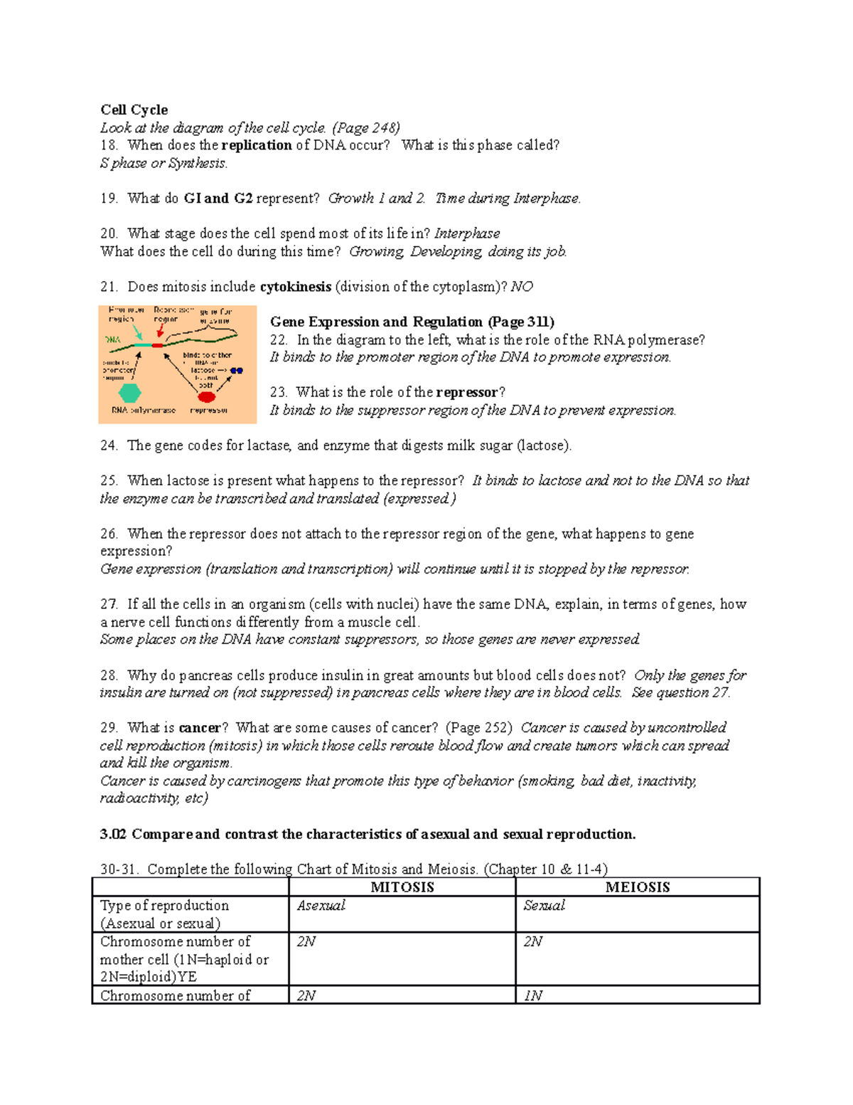 Review Packet 3 EOC review 2014 a answers - Cell Cycle Look at the ...