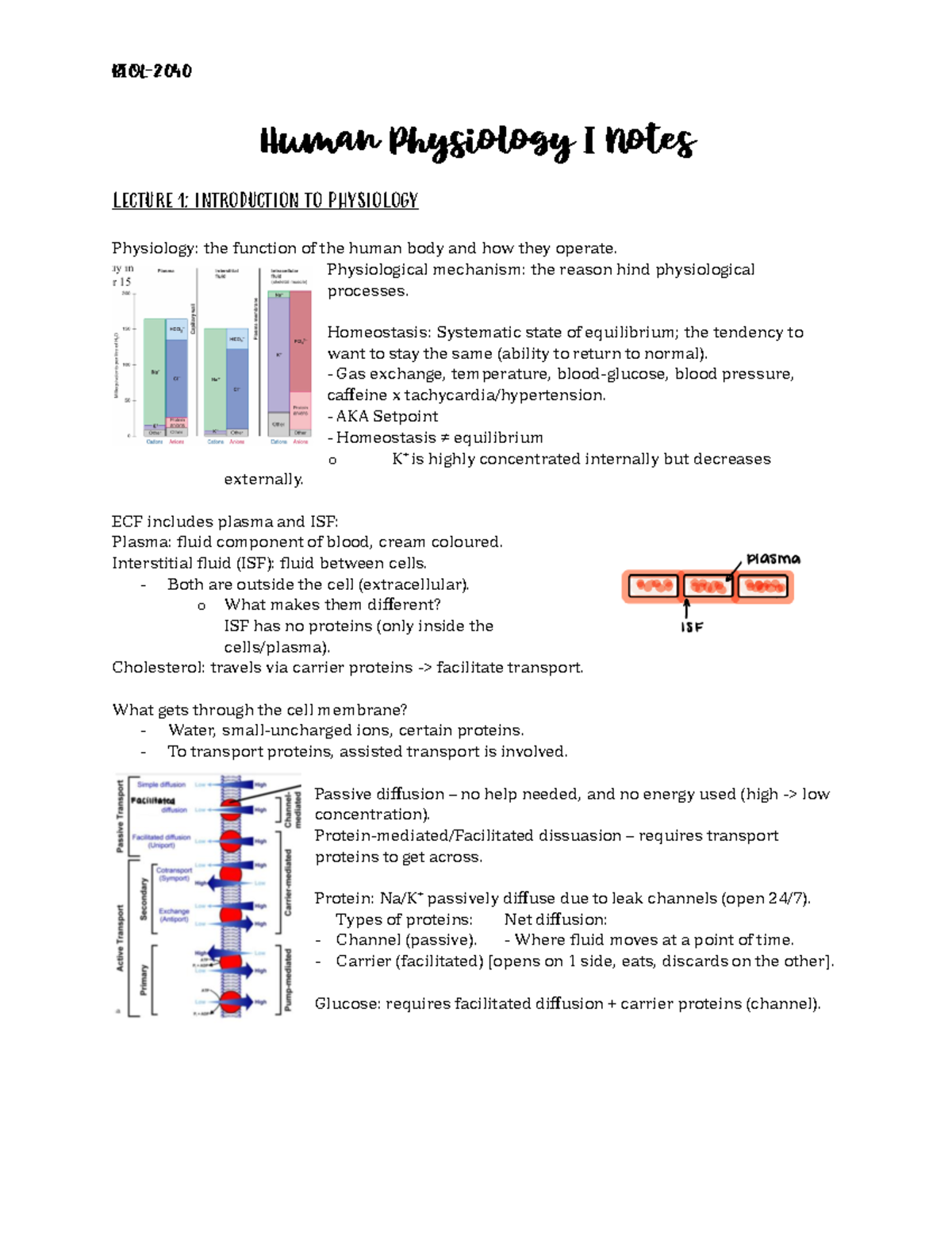 Human Physiology Notes Lecture 1-8 - Human Physiology I Notes LECTURE 1 ...