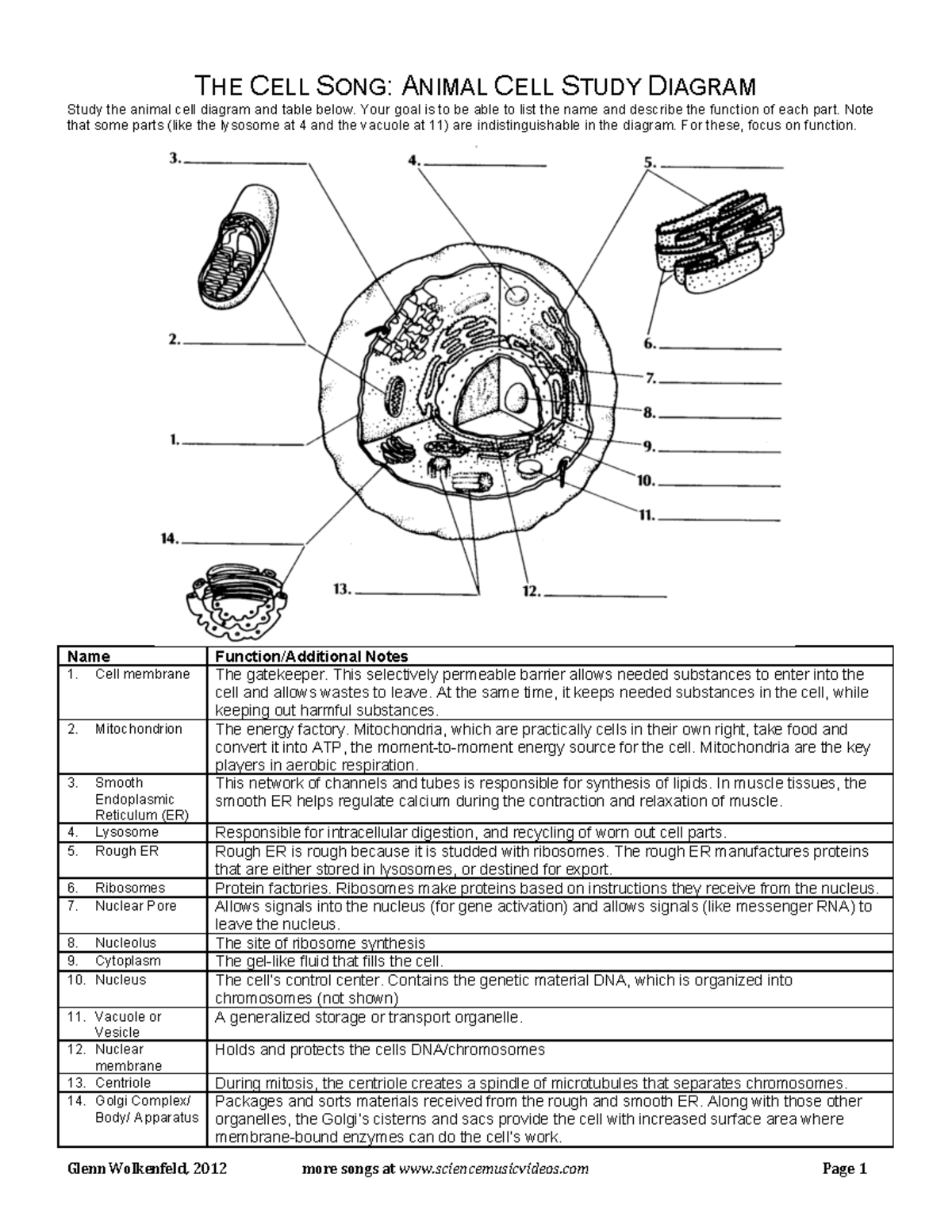 Animal and Plant Cell Labeling - - Studocu