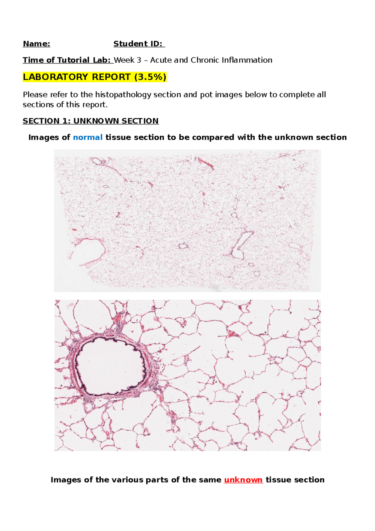 WEEK3 - Full lab notes - Name: Student ID: Time of Tutorial Lab: Week 3 ...