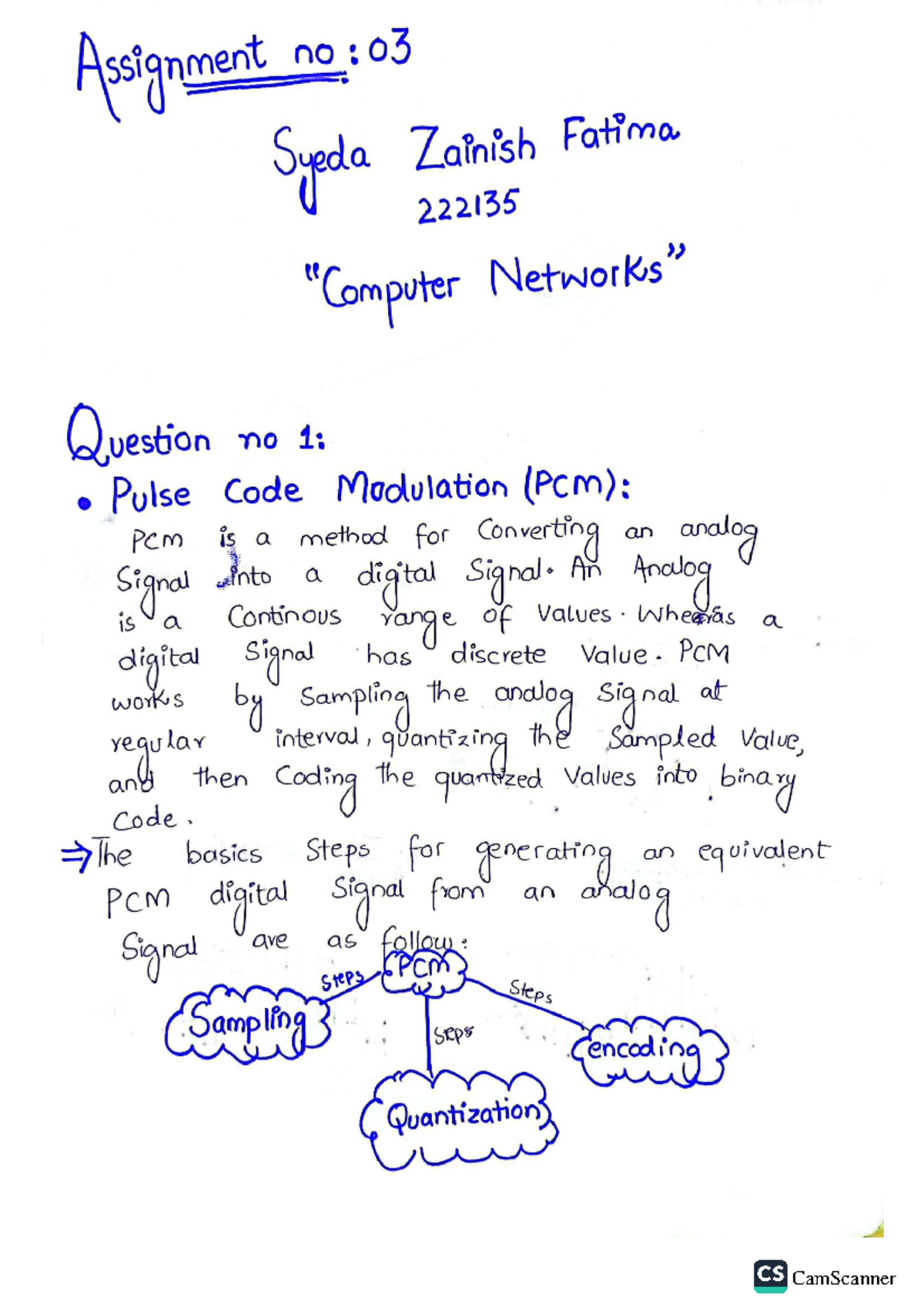 CN-Assignment 3 - in this assignment i have done computer network topic PCM which is given full ...