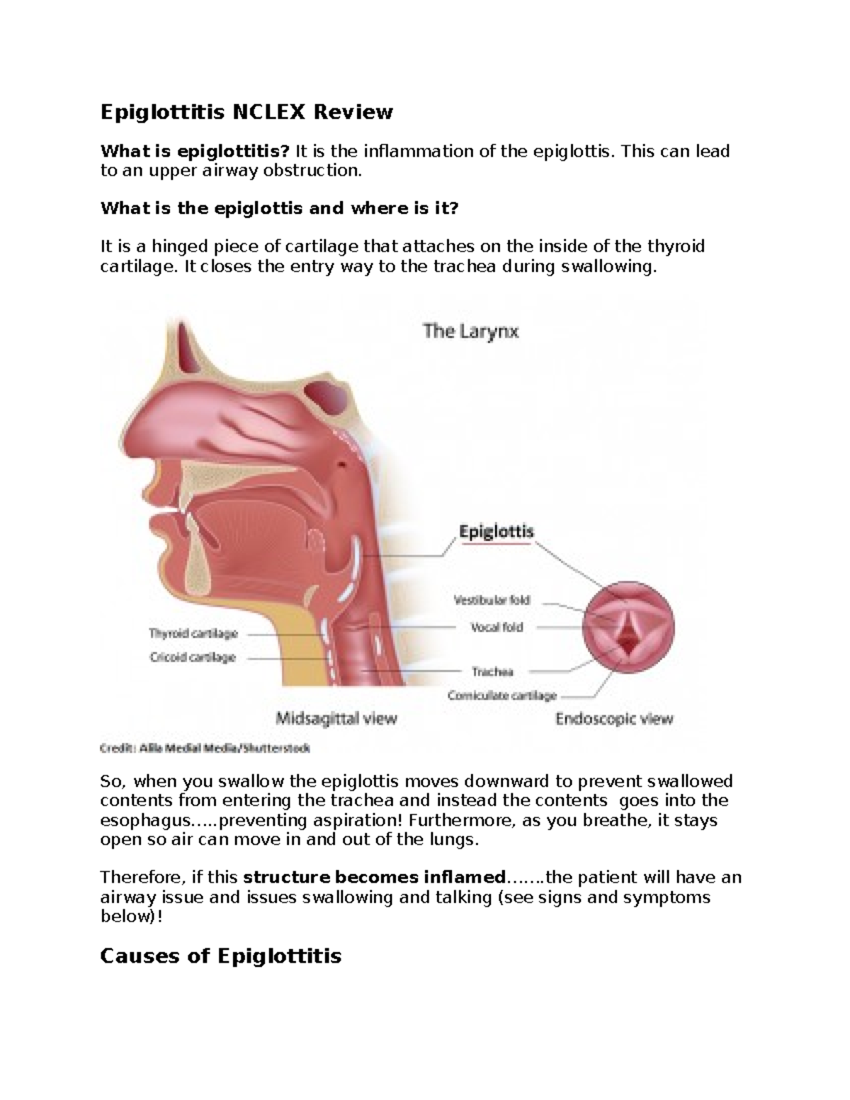 Epiglottitis Nclex Review - Epiglottitis NCLEX Review What is ...