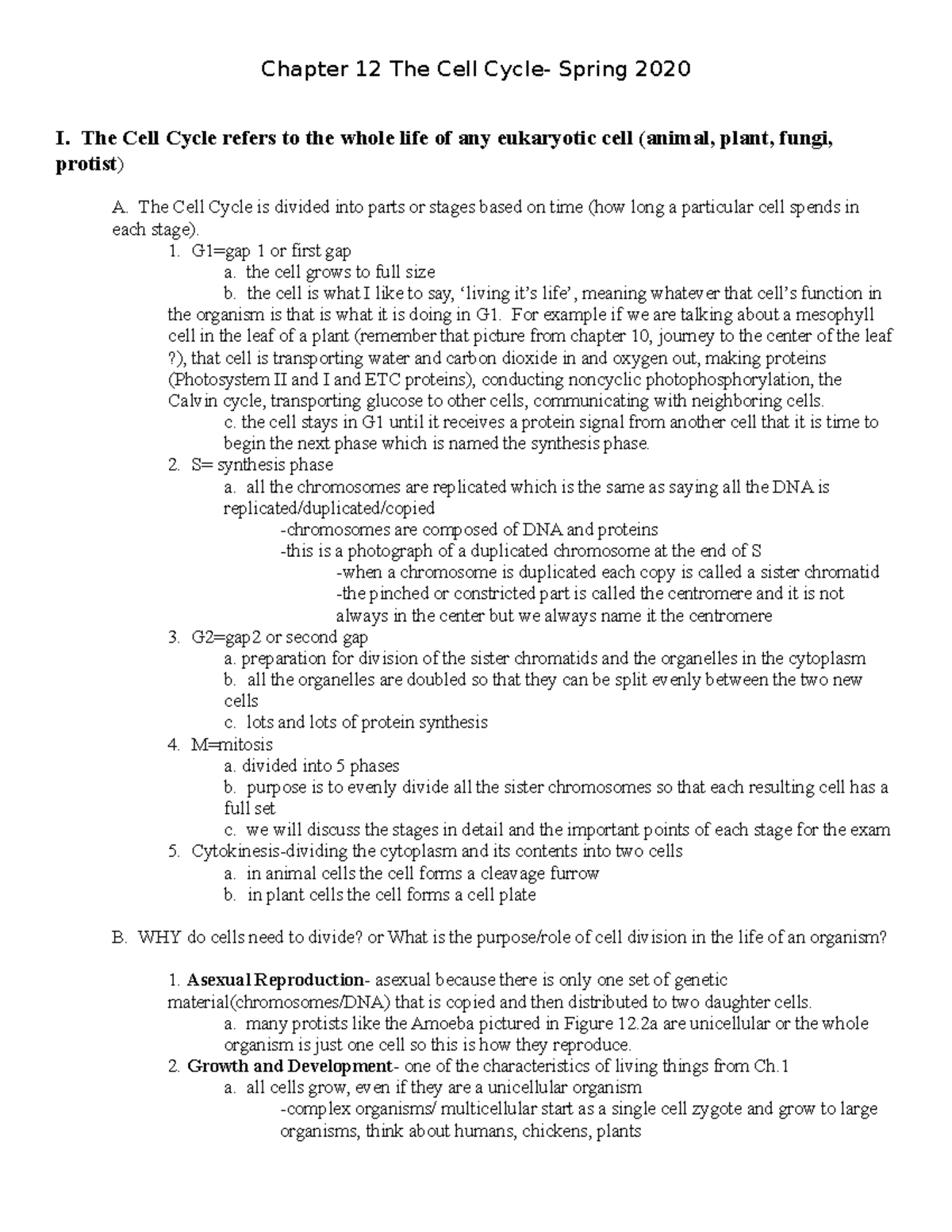 Chapter 12 The Cell Cycle note outline - Chapter 12 The Cell Cycle ...