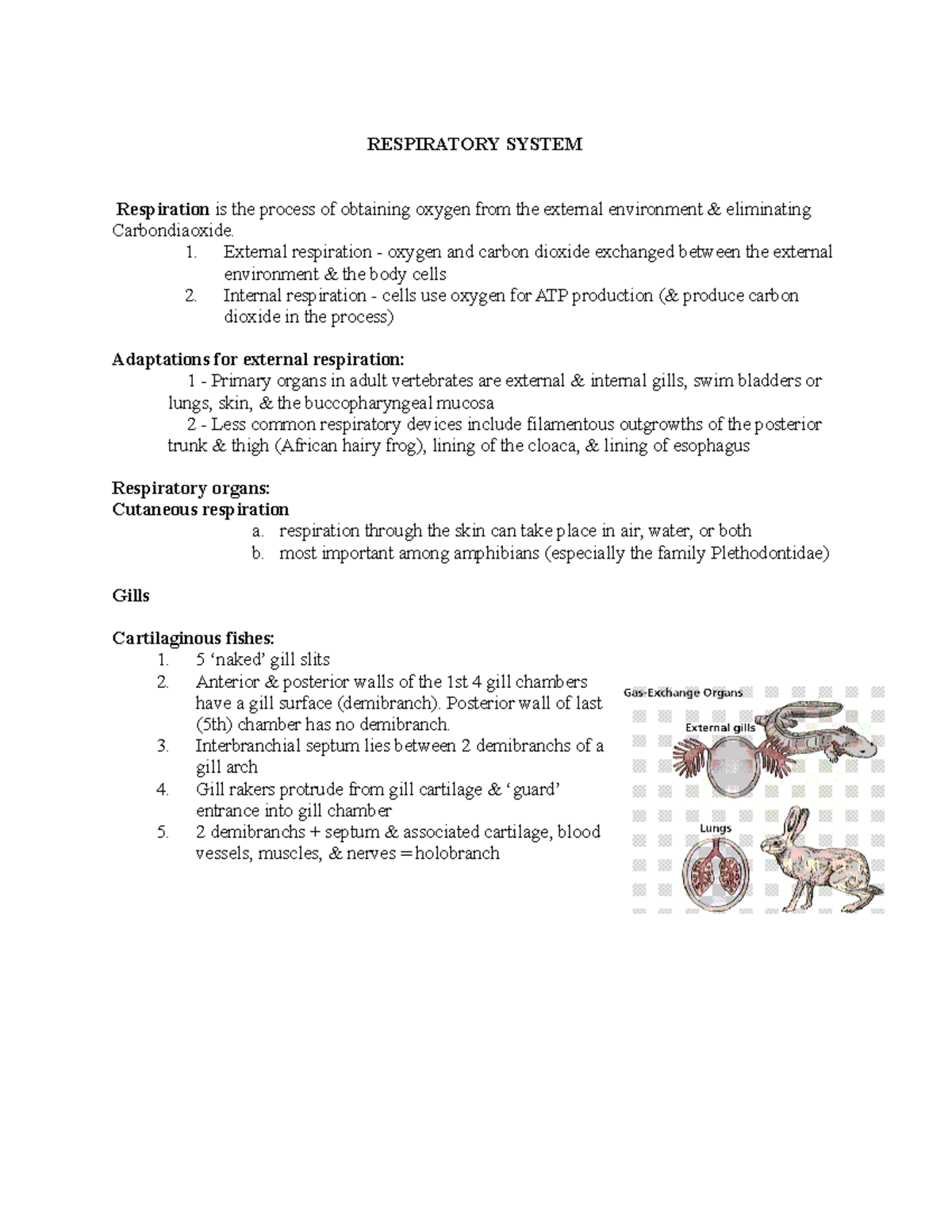 Comparative anotomy of respiratory system - RESPIRATORY SYSTEM ...