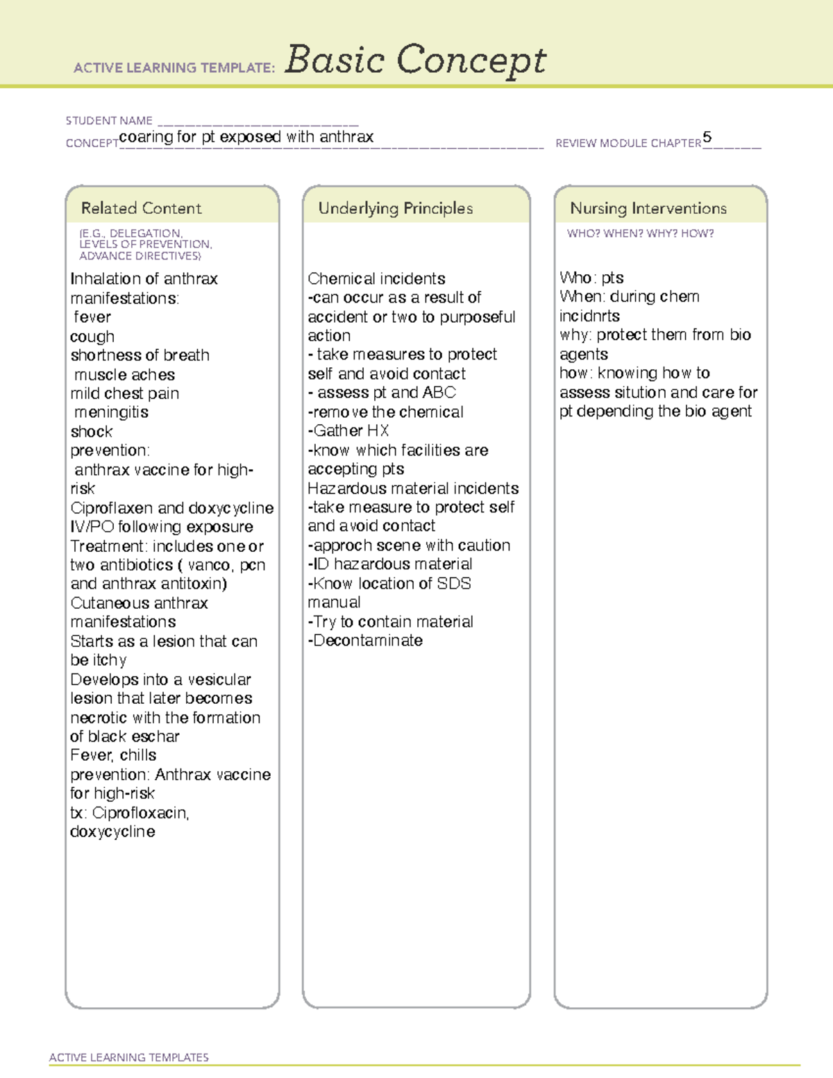 Alt-ch5delievringcare - RNSG 2138 - ACTIVE LEARNING TEMPLATES Basic ...