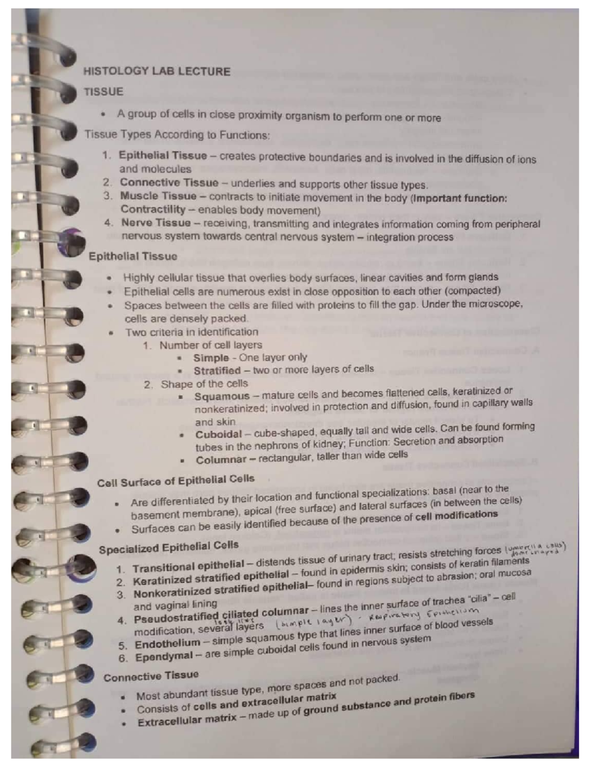 H Istology Lecture - Histology - Studocu