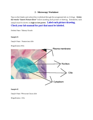 5-Cell Structure and Osmosis Worksheet-23 - 5 - Cell Structures and ...