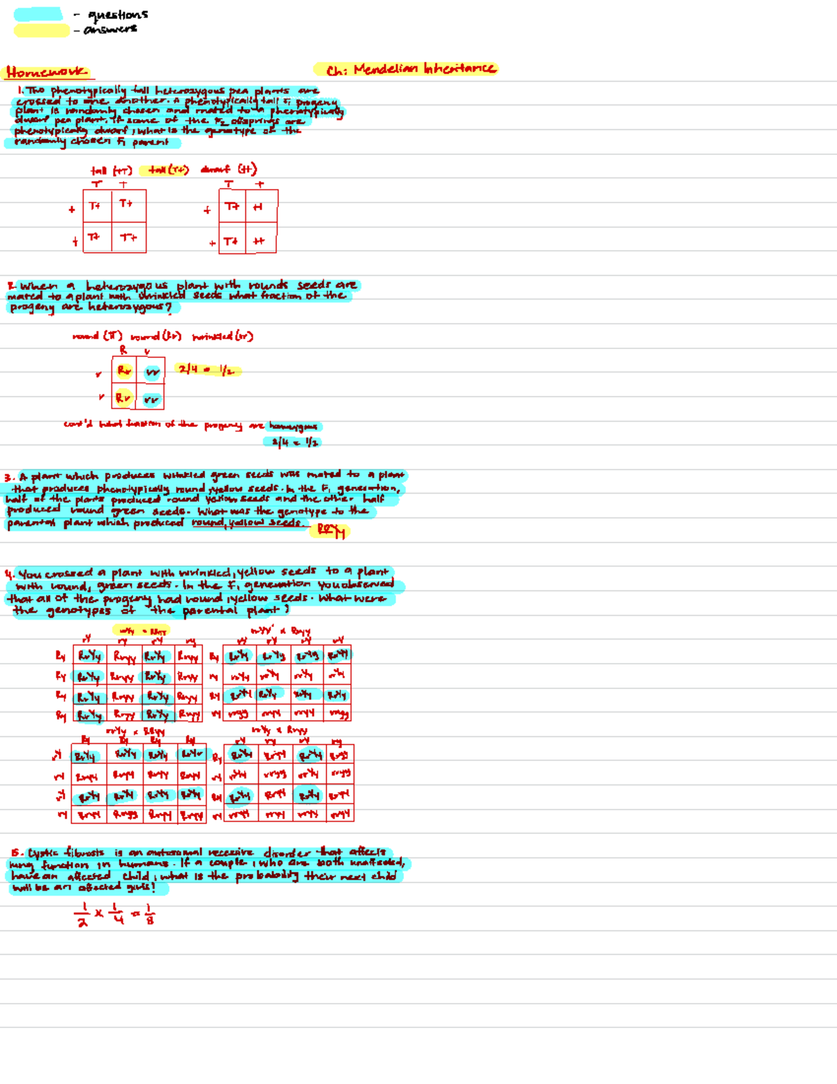 Chapter 2 - Homework Practice - questions answers Homework Ch ...