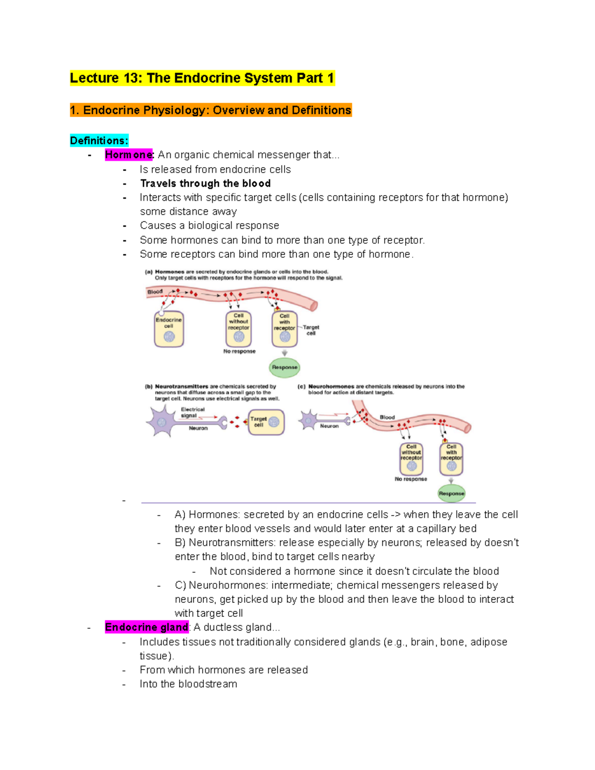 BIOL 171A Lec. 13-14 - Lecture notes 13-14 - Lecture 13: The Endocrine ...