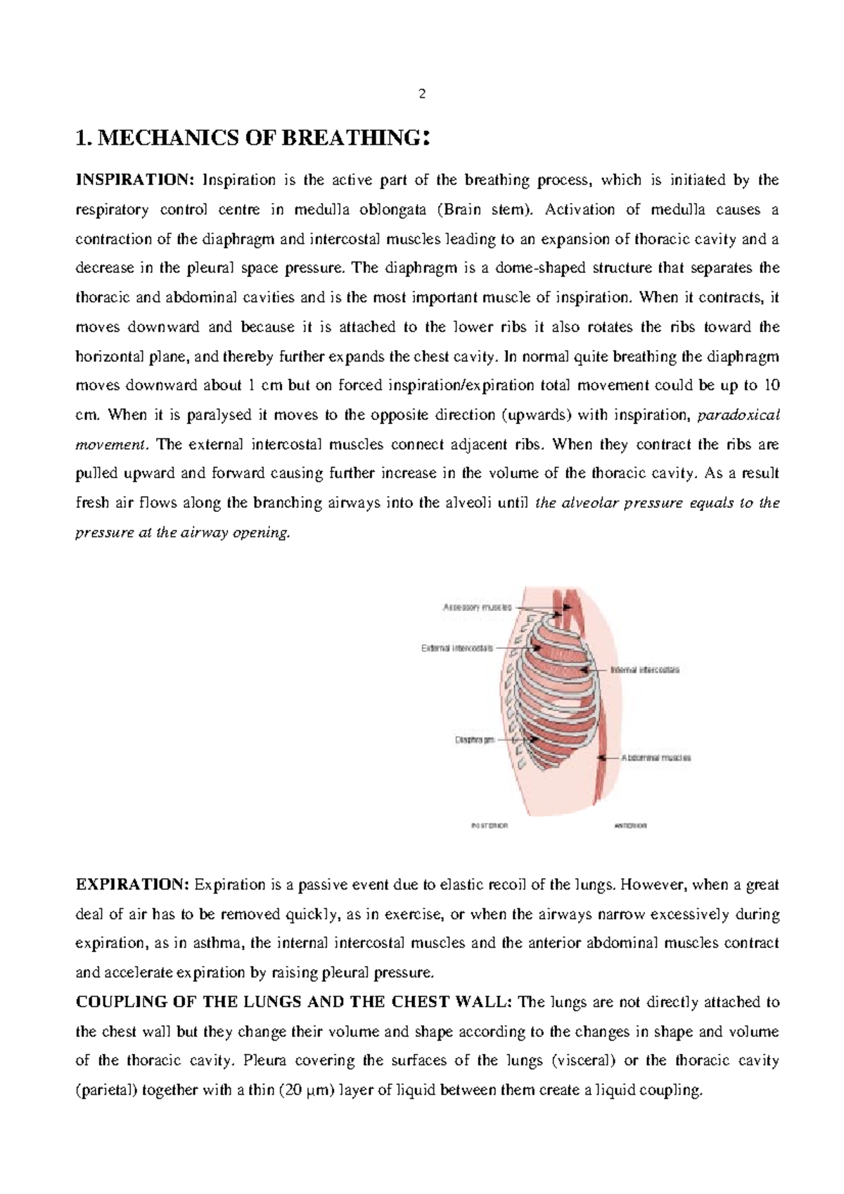 Human respiratory system - 1. MECHANICS OF BREATHING: INSPIRATION ...