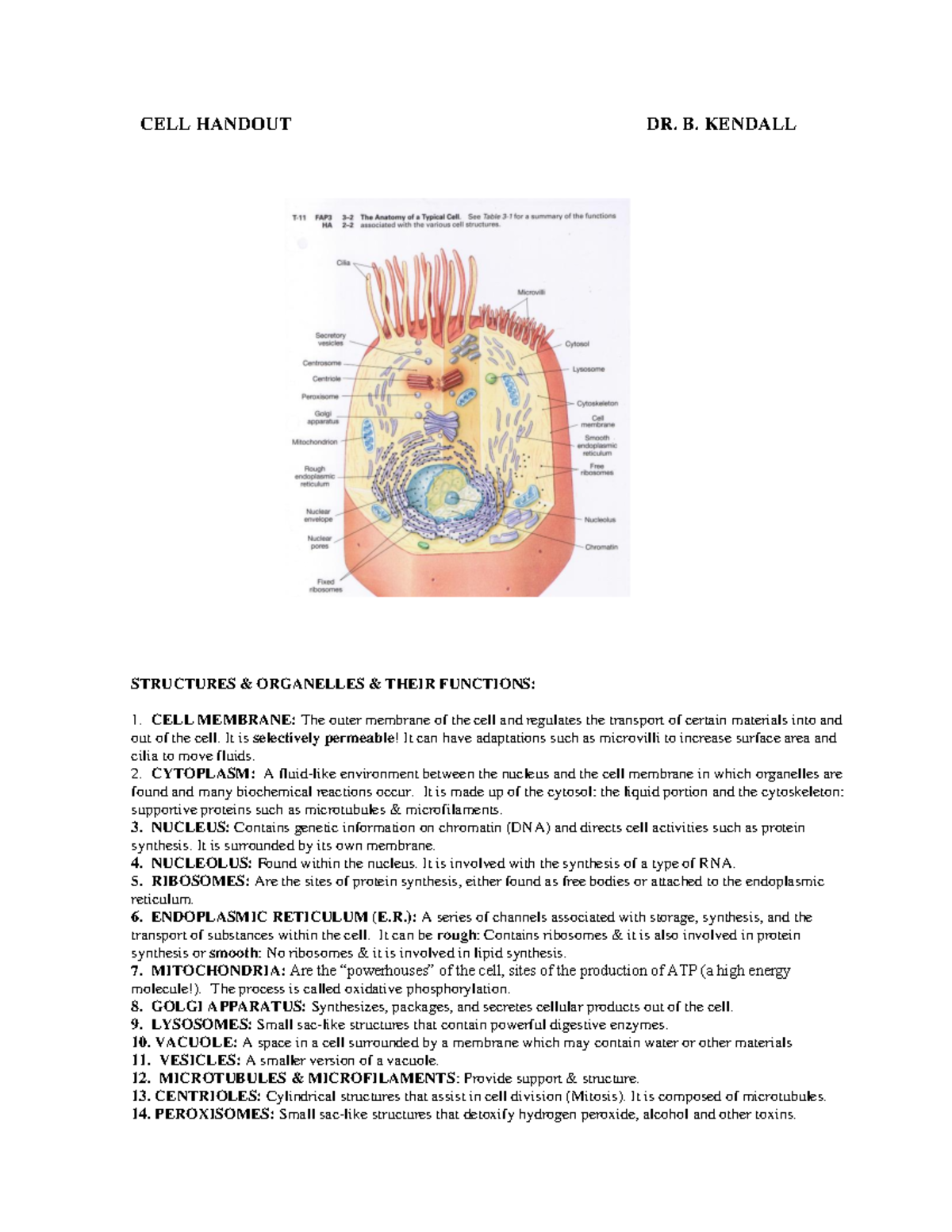 Cell Handout Lecture 203 - CELL HANDOUT DR. B. KENDALL STRUCTURES ...