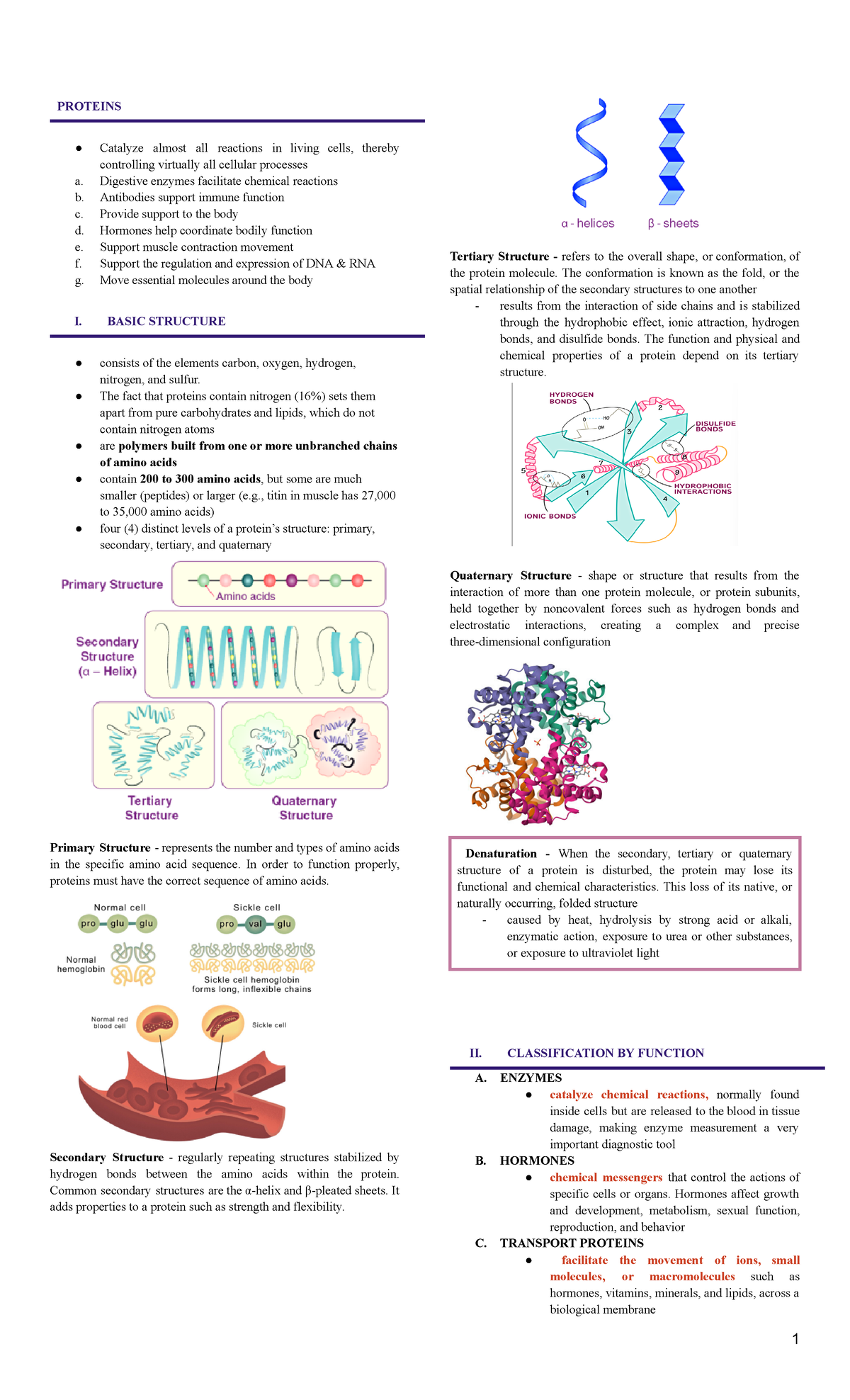 CC1 Proteins - Protein lectures in Clinical Chemistry 1 - PROTEINS ...