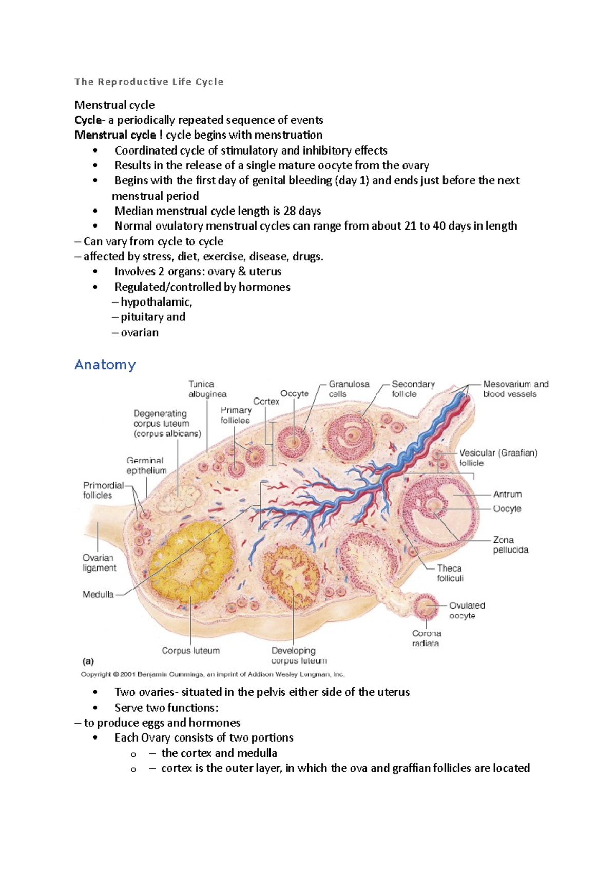 The Reproductive Life Cycle - Involves 2 organs: ovary uterus hormones ...
