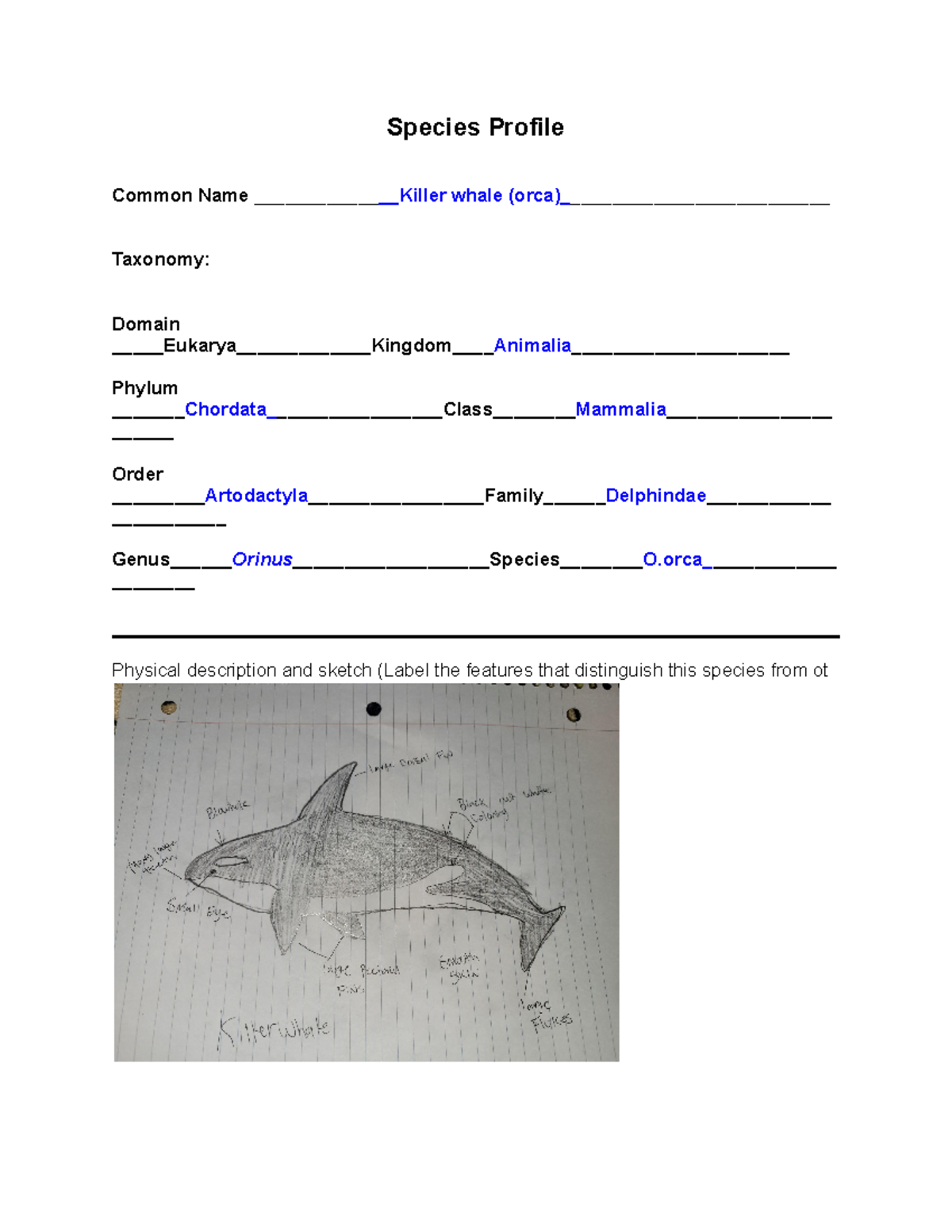 Species Profile 2 - Species Profile Common Name Killer whale (orca ...