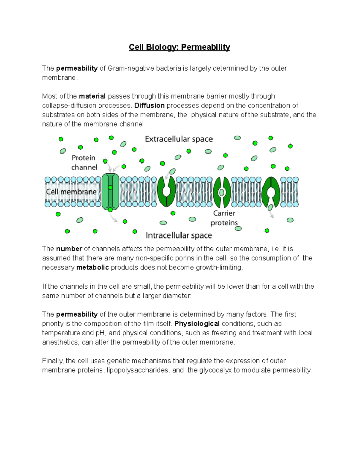 Cell Biology Permeability - Most of the material passes through this ...
