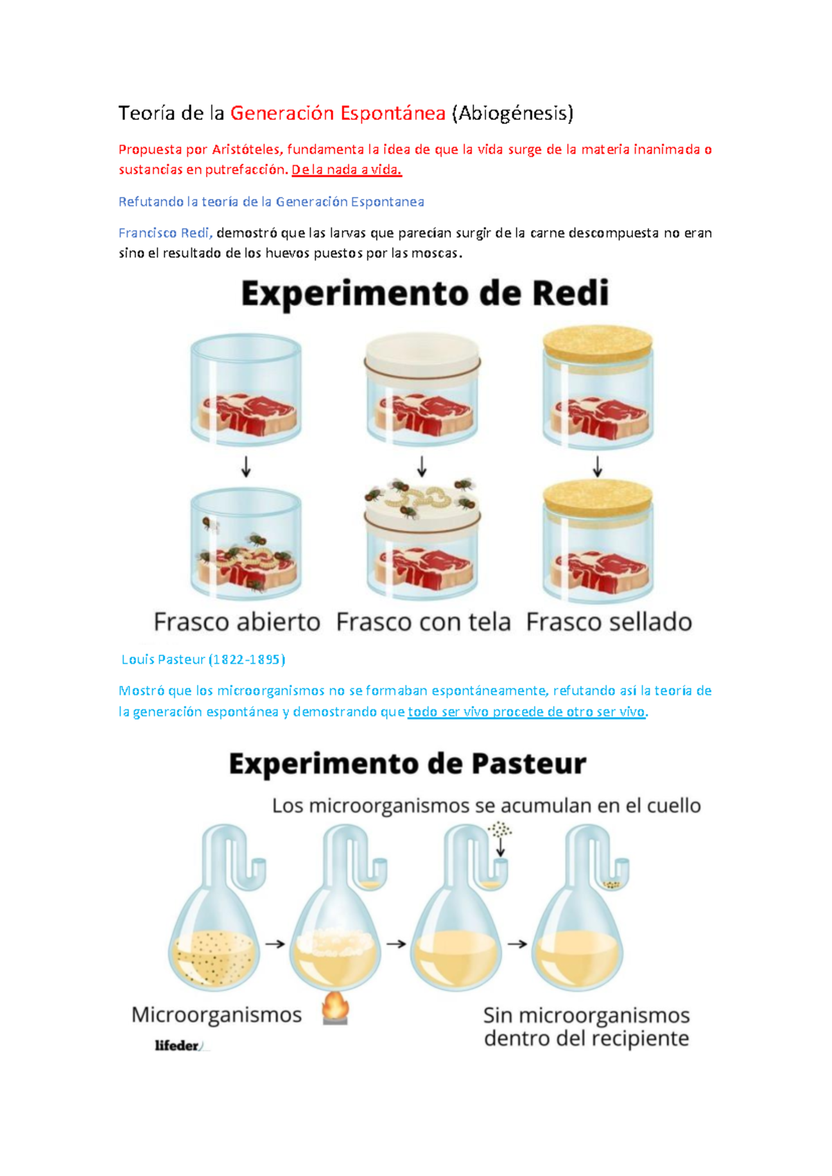 Teoría de la Generación Espontánea - Teoría de la Generación Espontánea ...