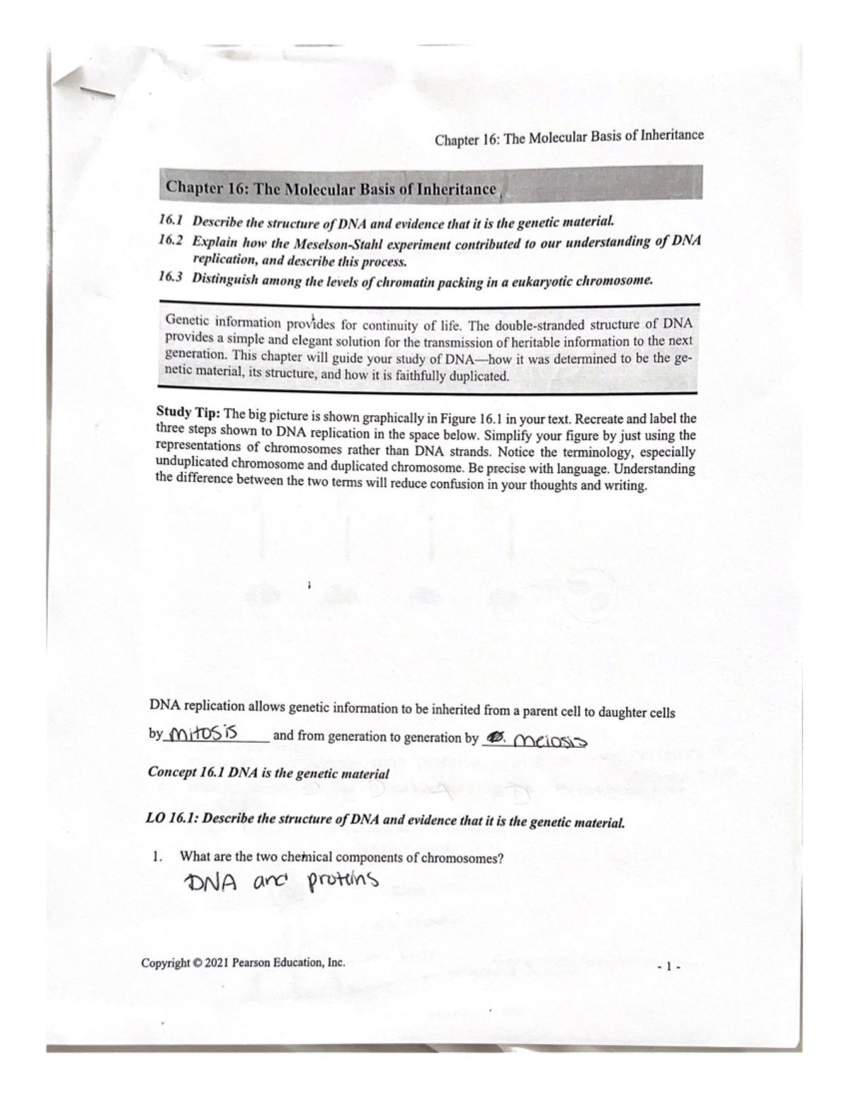 Chap 16 study hw - BSC2010 - Studocu