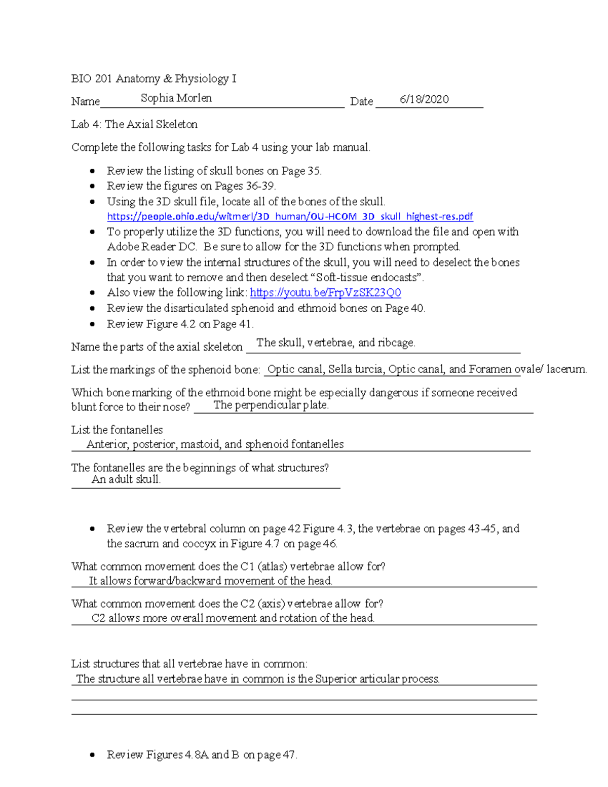 BIO 201 Lab 4 Activity- Axial Skeleton - BIO 201 Anatomy & Physiology I ...