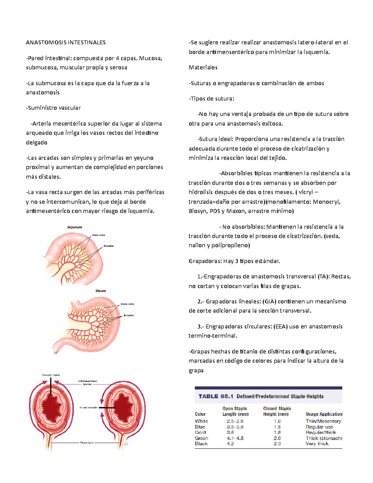 Anastomosis Intestinales - ANASTOMOSIS INTESTINALES -Pared intestinal ...