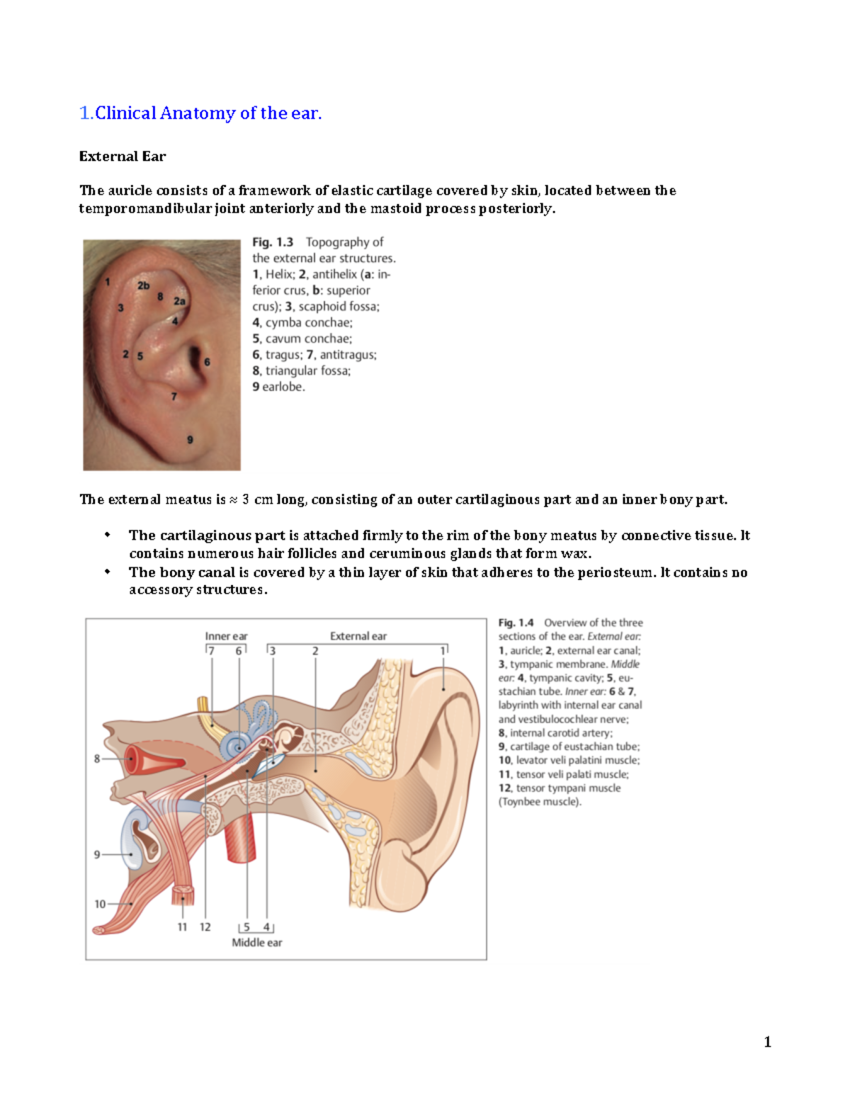 ENT - from the book: Ear, nose and throat diseases. Written by Hans ...