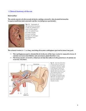 ENT anatomy and physiology - Physiology of hearing Sounds waves are a ...