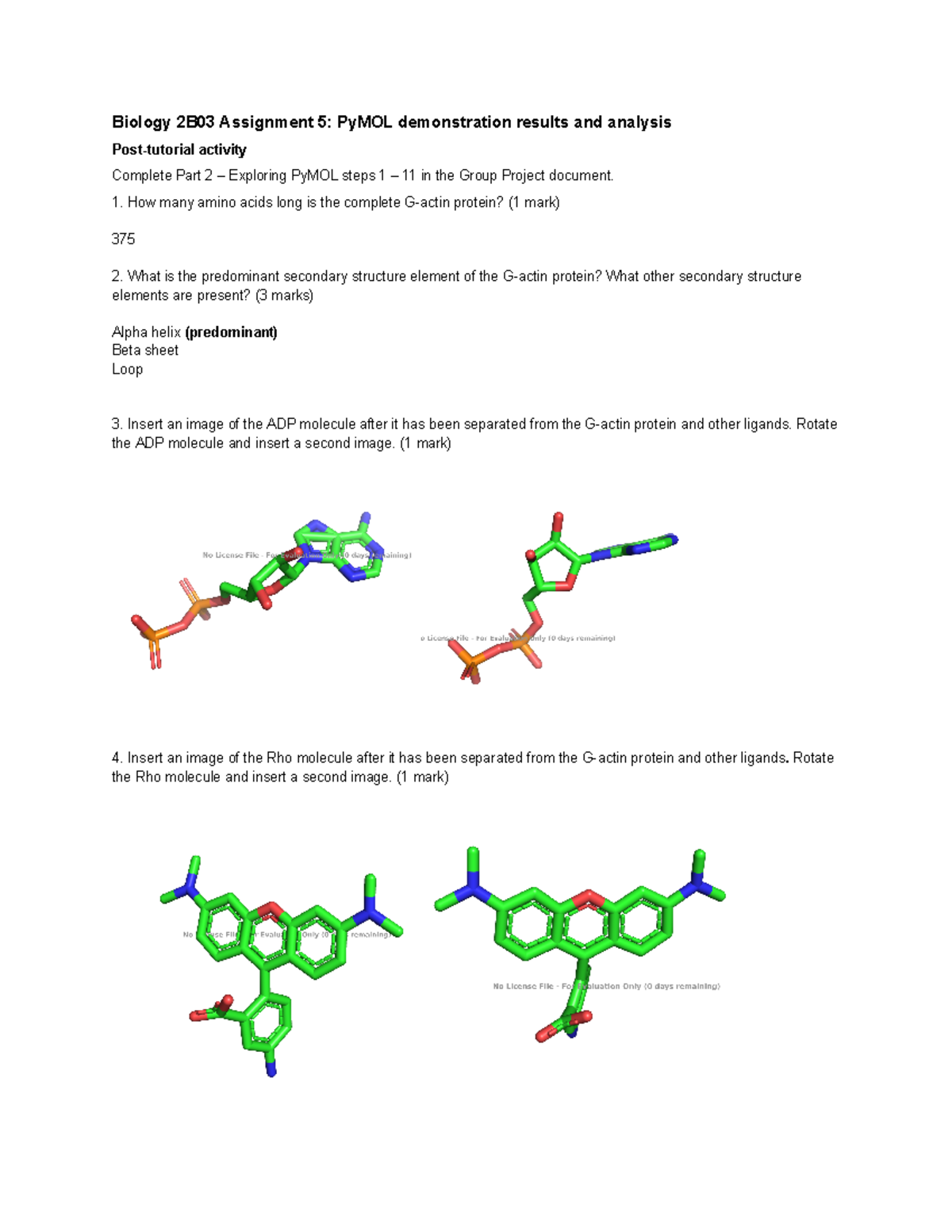 Assignment 5 cell biology - Biology 2B03 Assignment 5: PyMOL demonstration results and analysis ...