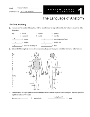 Ex 6 review worksheet - Anatomy - NAME _______________________________________ LAB TIME/DATE ...