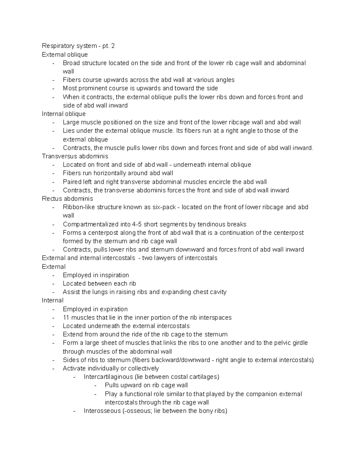 SLHS 3210 - Anatomy - Respiratory system - pt. 2 External oblique ...