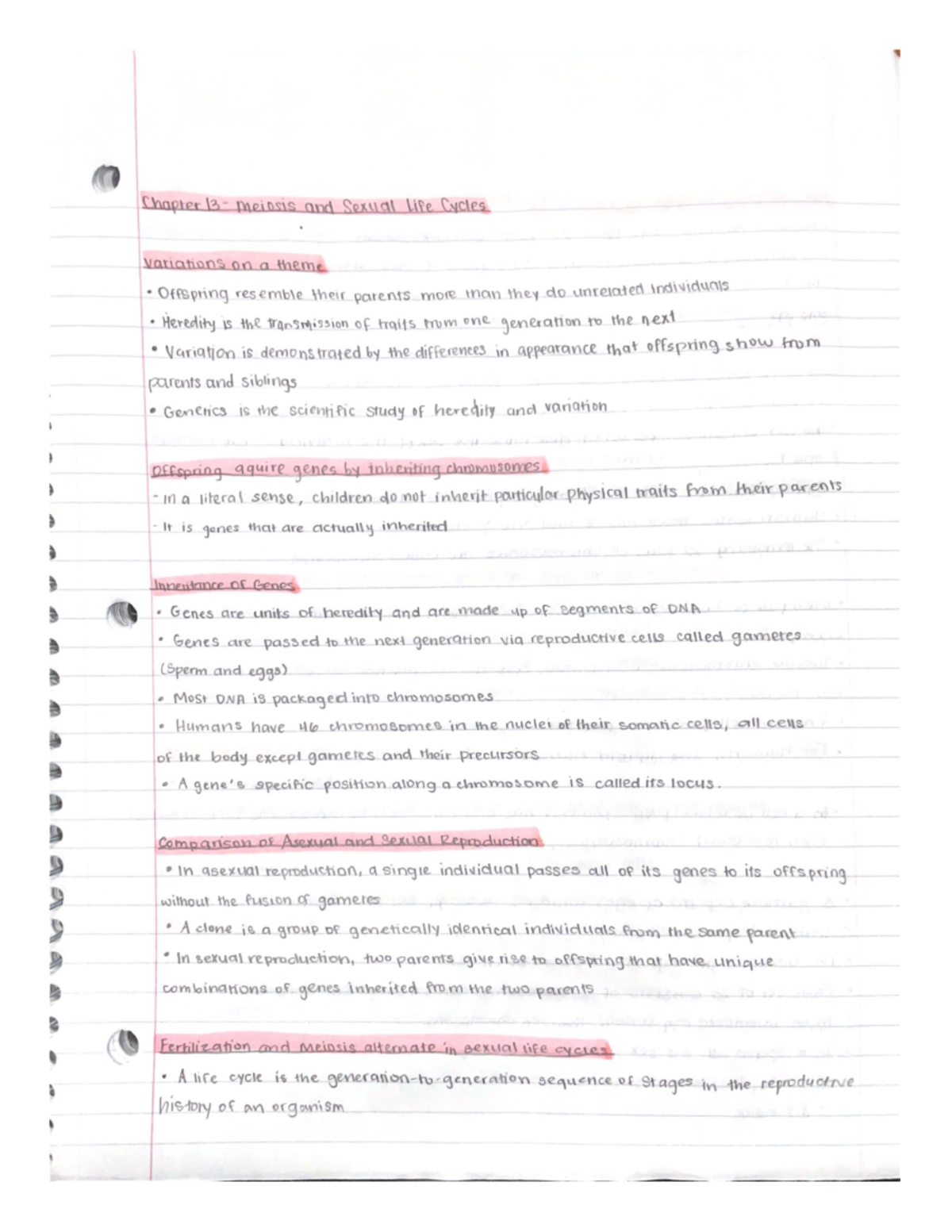 Biology 1 - Meiosis And Sexual Life Cycles Part 1 - OffSpring resemble ...