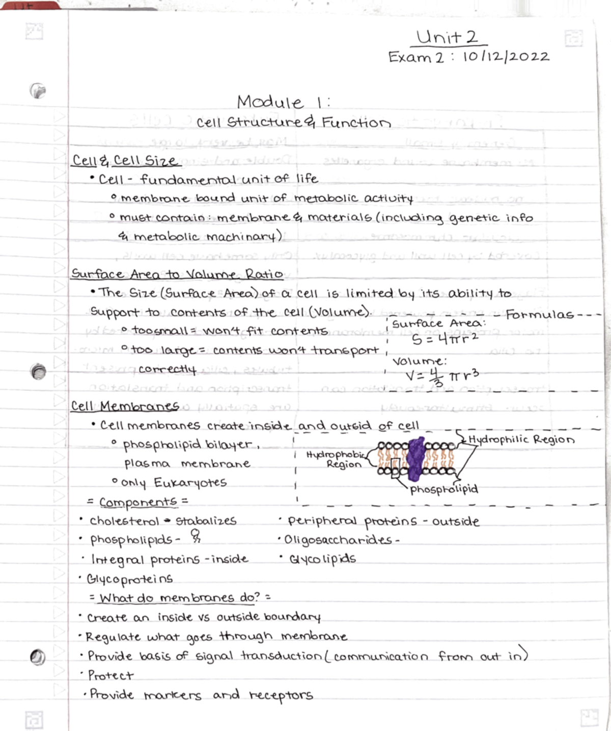 Cell Structure and Function - BIOL1100 - Studocu