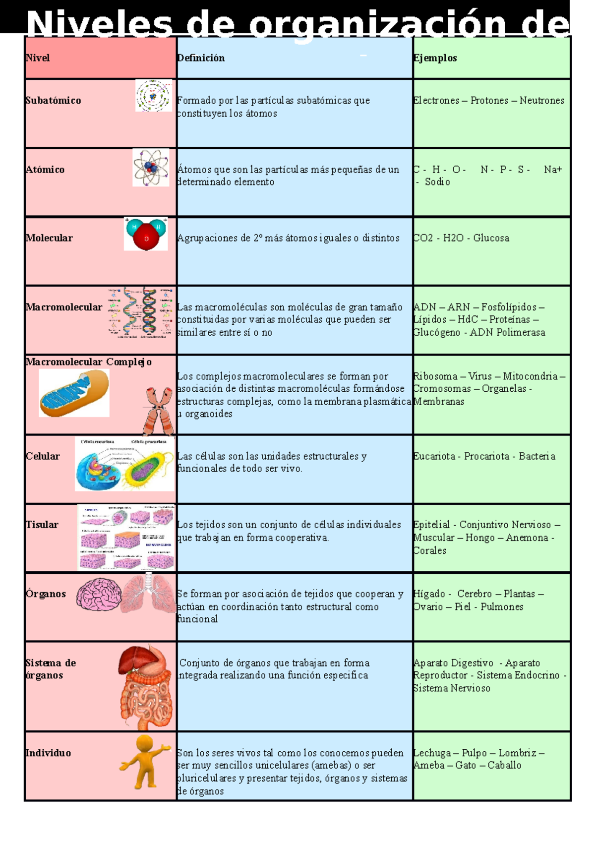 Resumen de biologia 1 - Nivel Definición Ejemplos Subatómico Formado ...