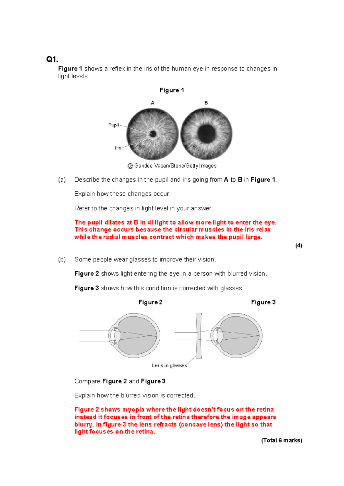 Exam Questions on the Eye topic in AQA Biology GCSE from previous exams ...