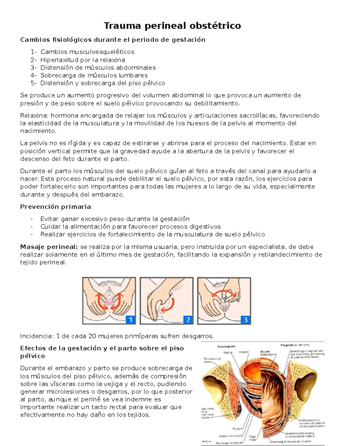 Trauma perineal obstetrico - Trauma perineal obstétrico Cambios ...