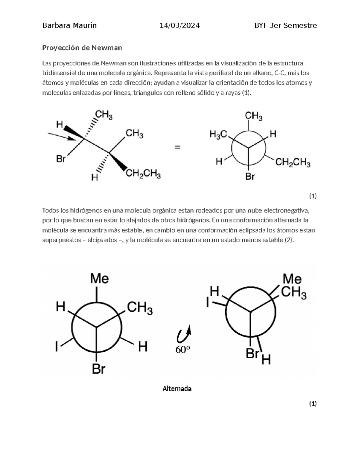 Proyección de Newman - Barbara Maurin 14/03/2024 BYF 3er Semestre ...